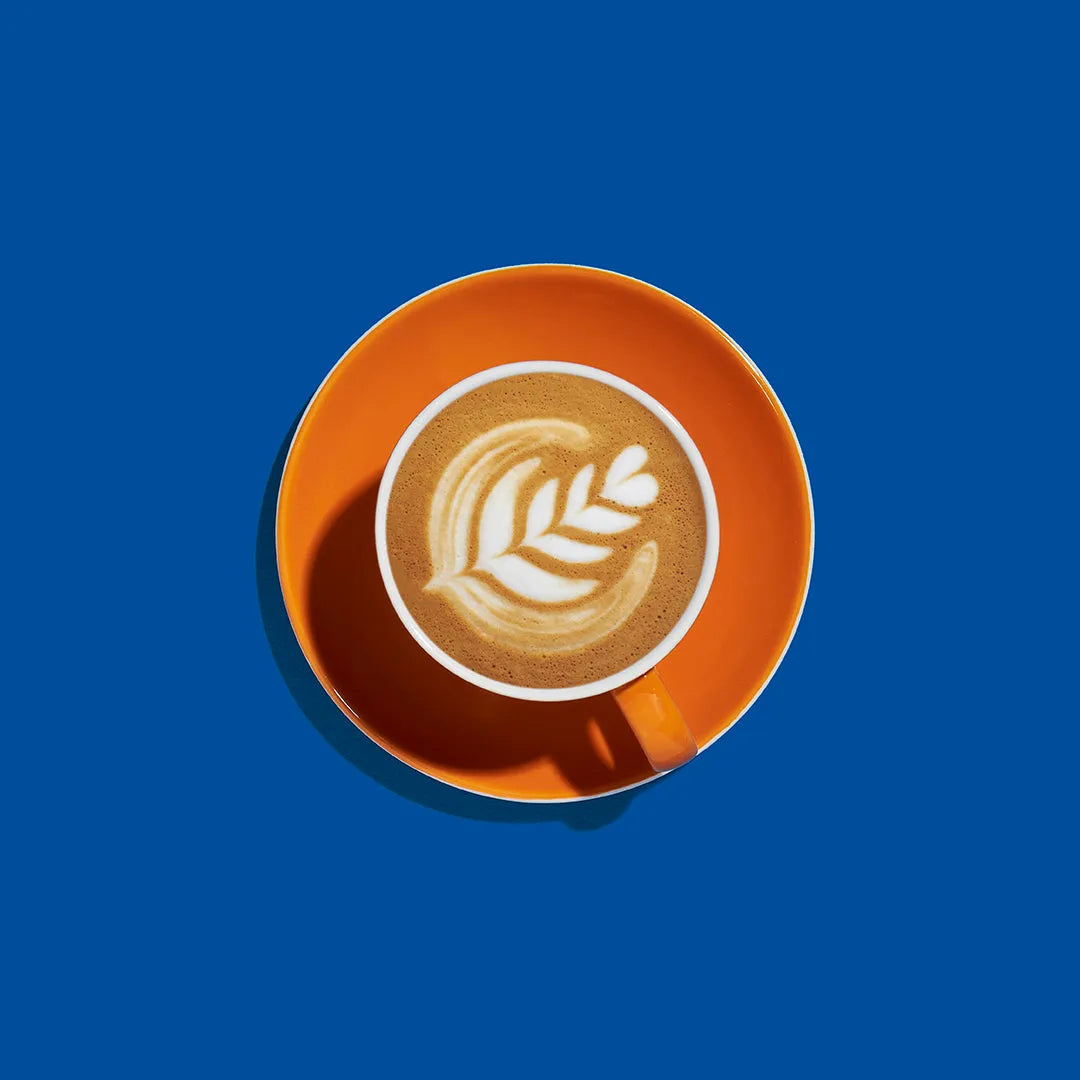 What to Look for When Choosing Your Coffee Supplier – Carnival Coffee ...